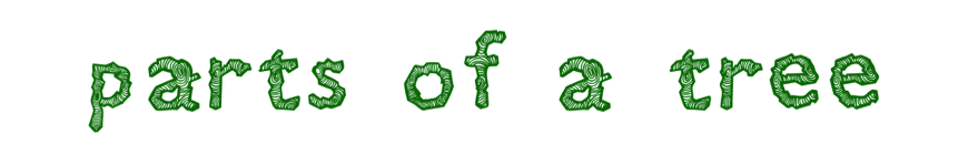 Science | Parts of a Tree