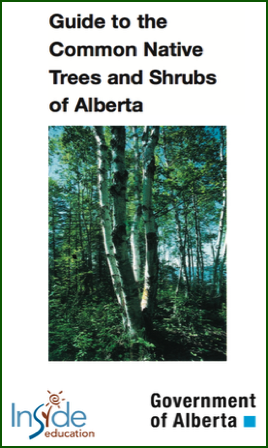 Mr. Polsky | Science Resources